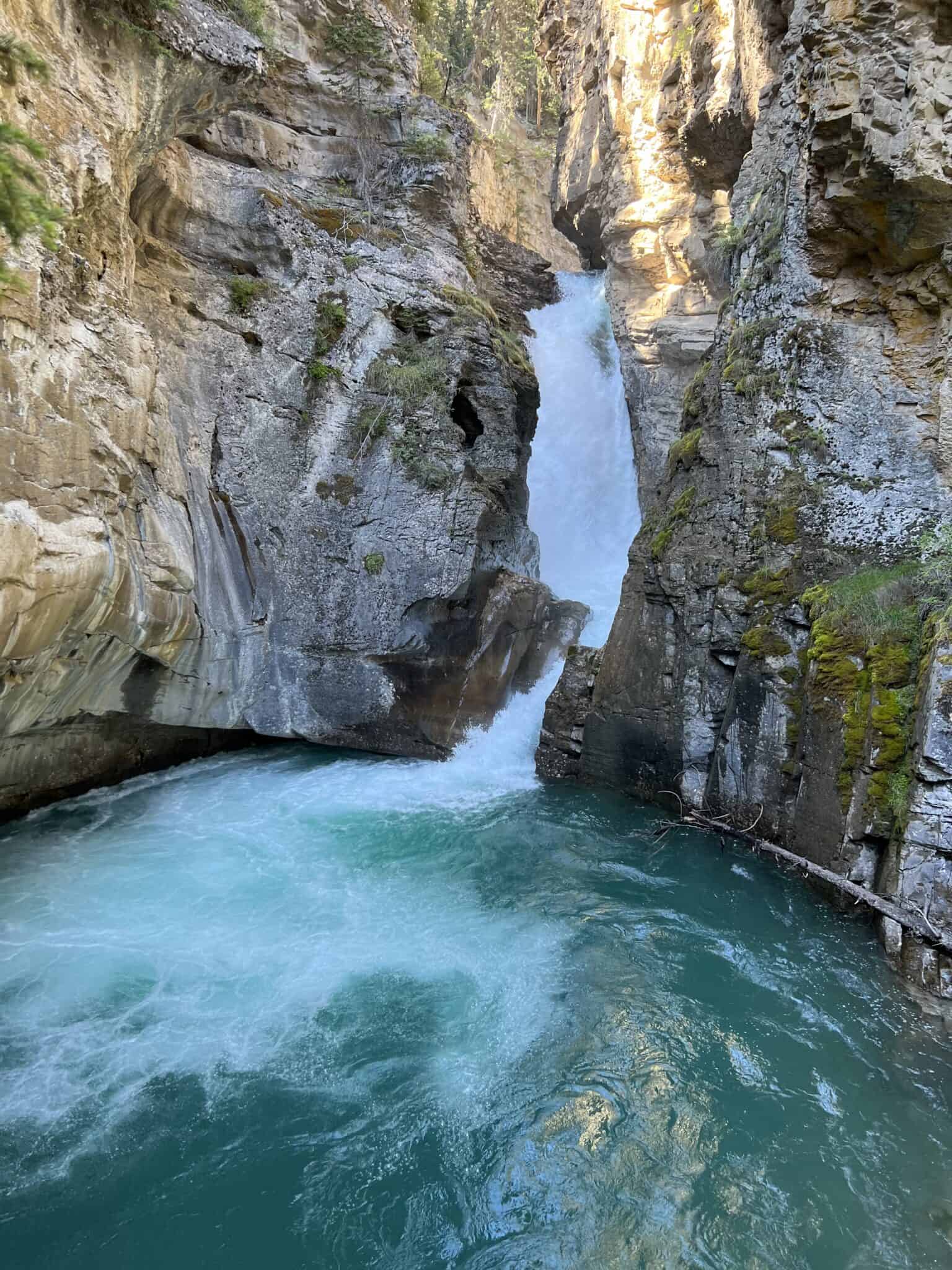 Visit Calgary in June- The Best Things to Do, 2025 - Family Travel
