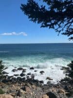 How to Catch the ferry from Winter Harbor to Bar Harbor, 2025 - Family ...