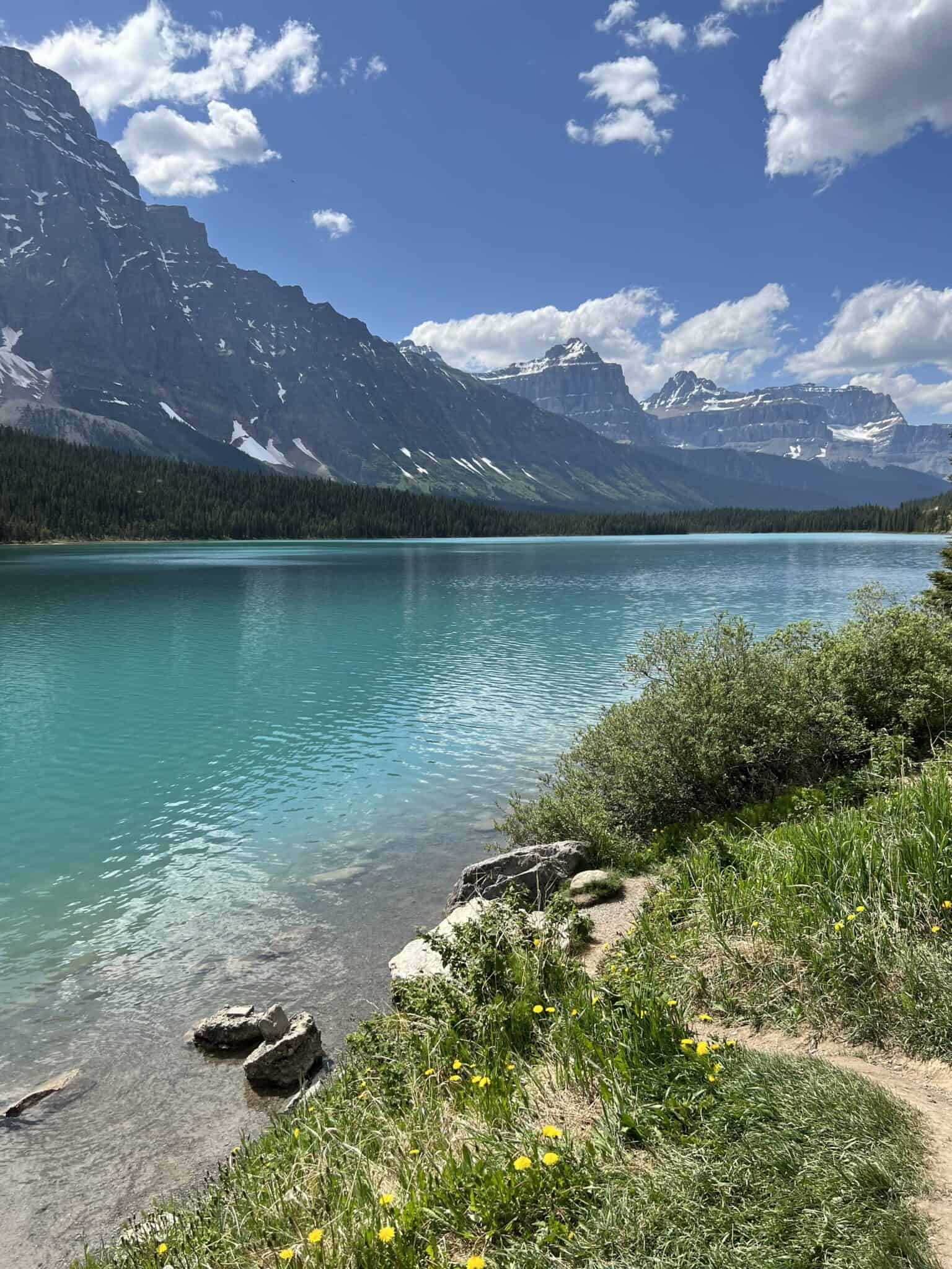 An Exciting Guide to Banff with Family, 2025 - Family Travel