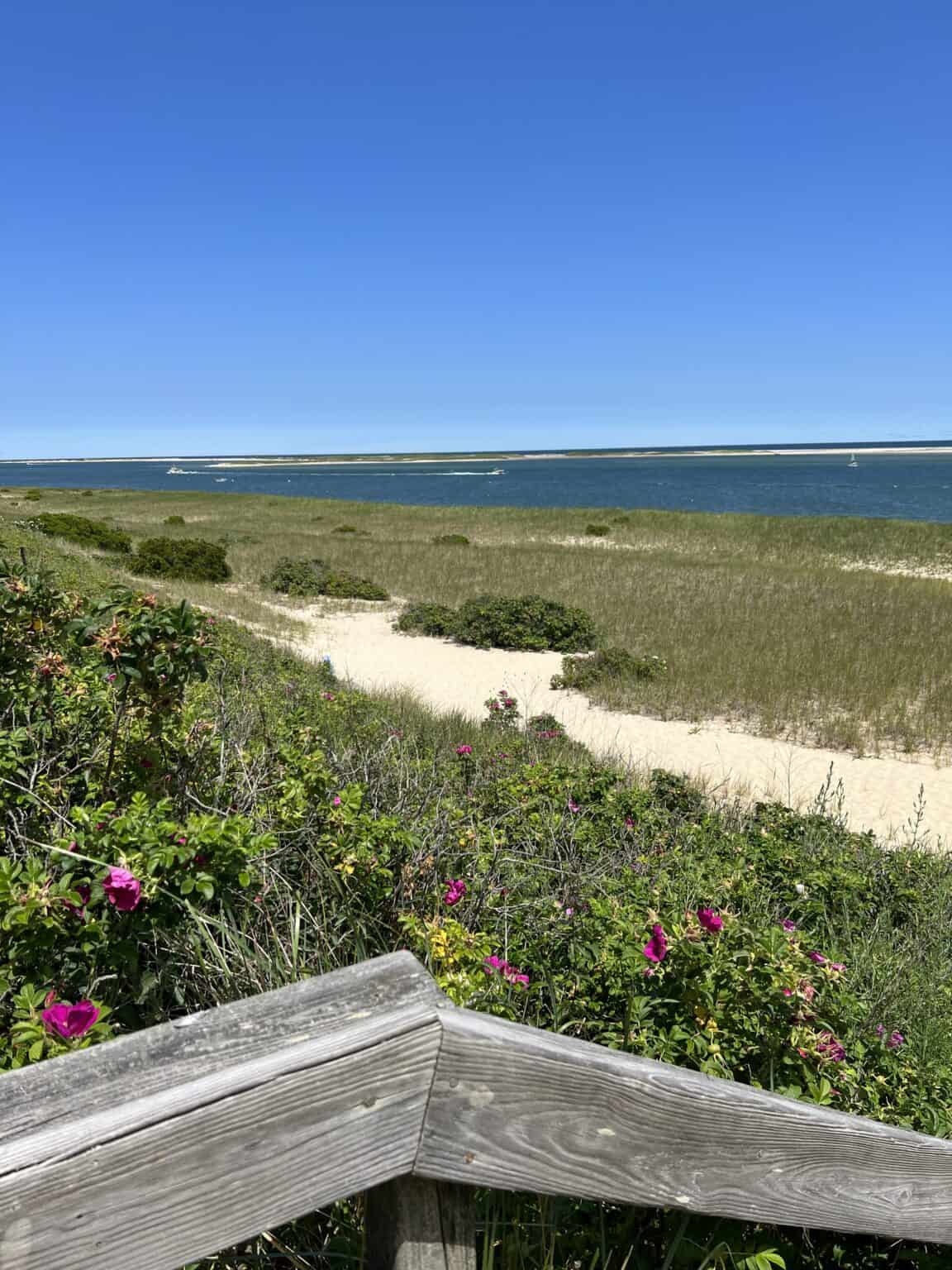 23 Exciting Activities & Things to Do in Chatham, Cape Cod, 2025 ...