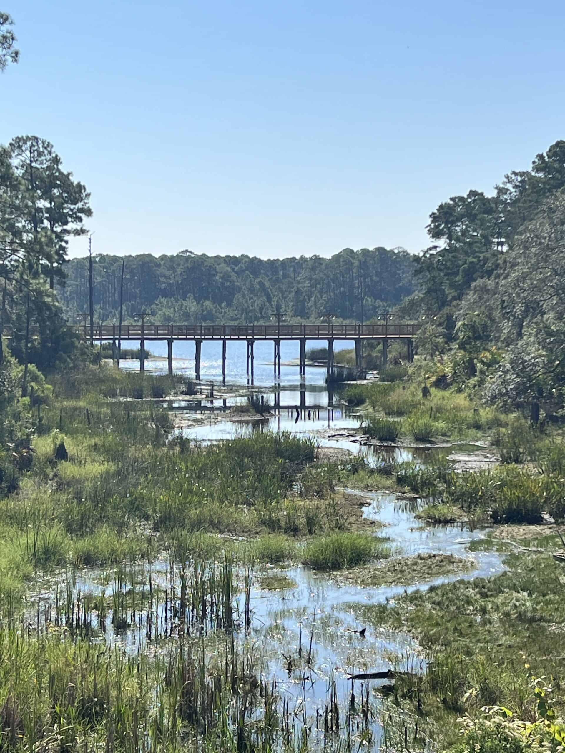 Get Out and Explore the Stunning 30A State Parks - Family Travel