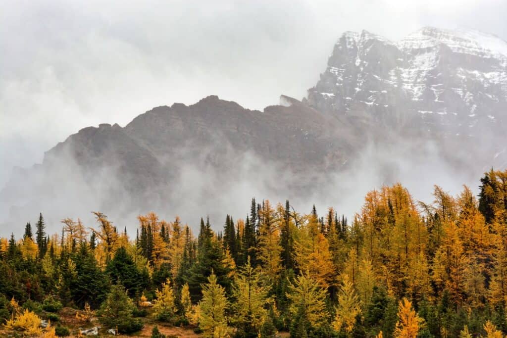 Visit Banff in Fall, the Best Season to Visit - Family Travel