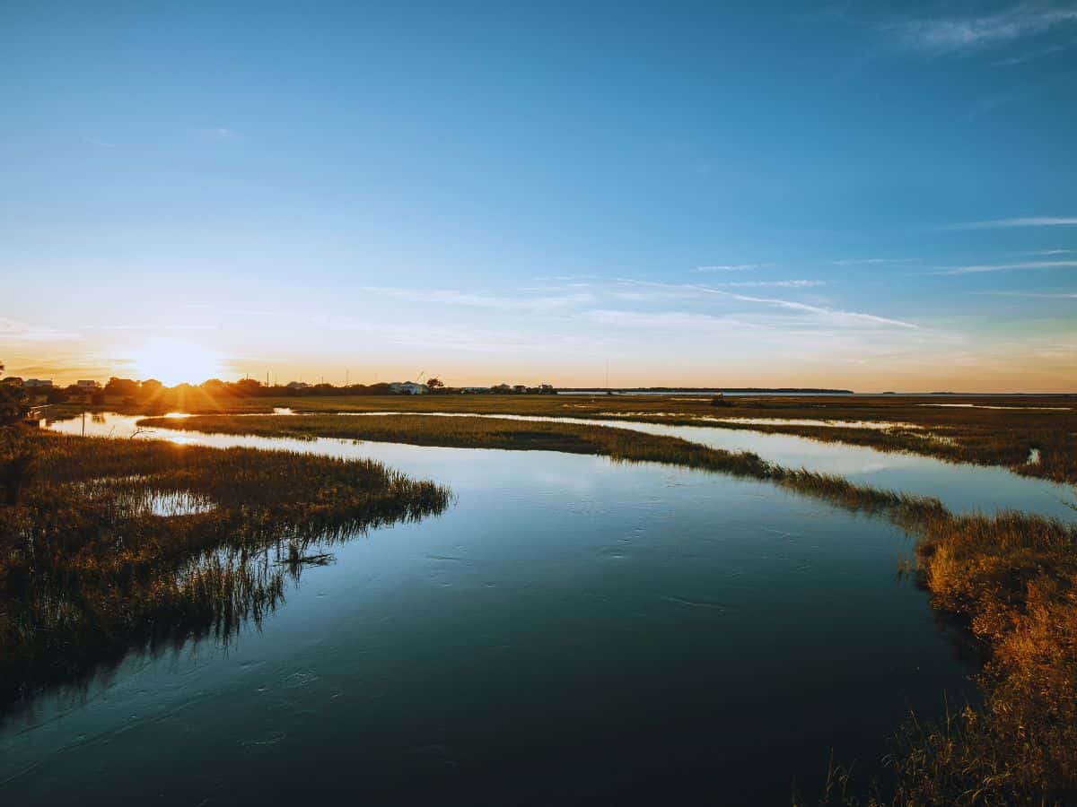 17 Amazing Day Trips from Charleston, South Carolina in 2024 - Family ...