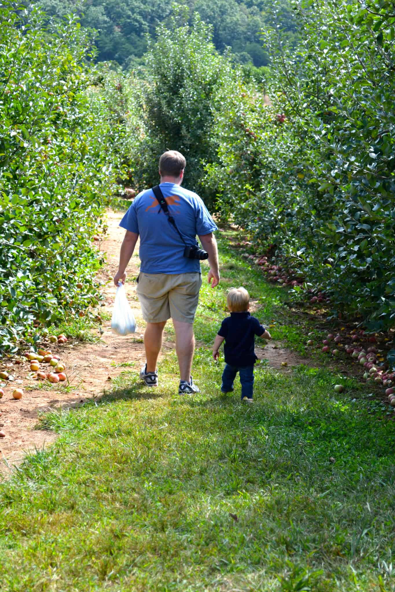 The Ultimate Guide to the Best Things to Do in Atlanta in the Fall in ...