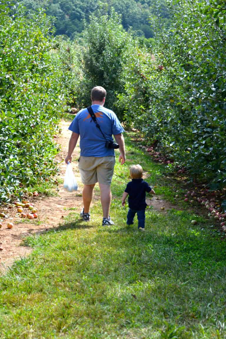 The Ultimate Guide to the Best Things to Do in Atlanta in the Fall in ...