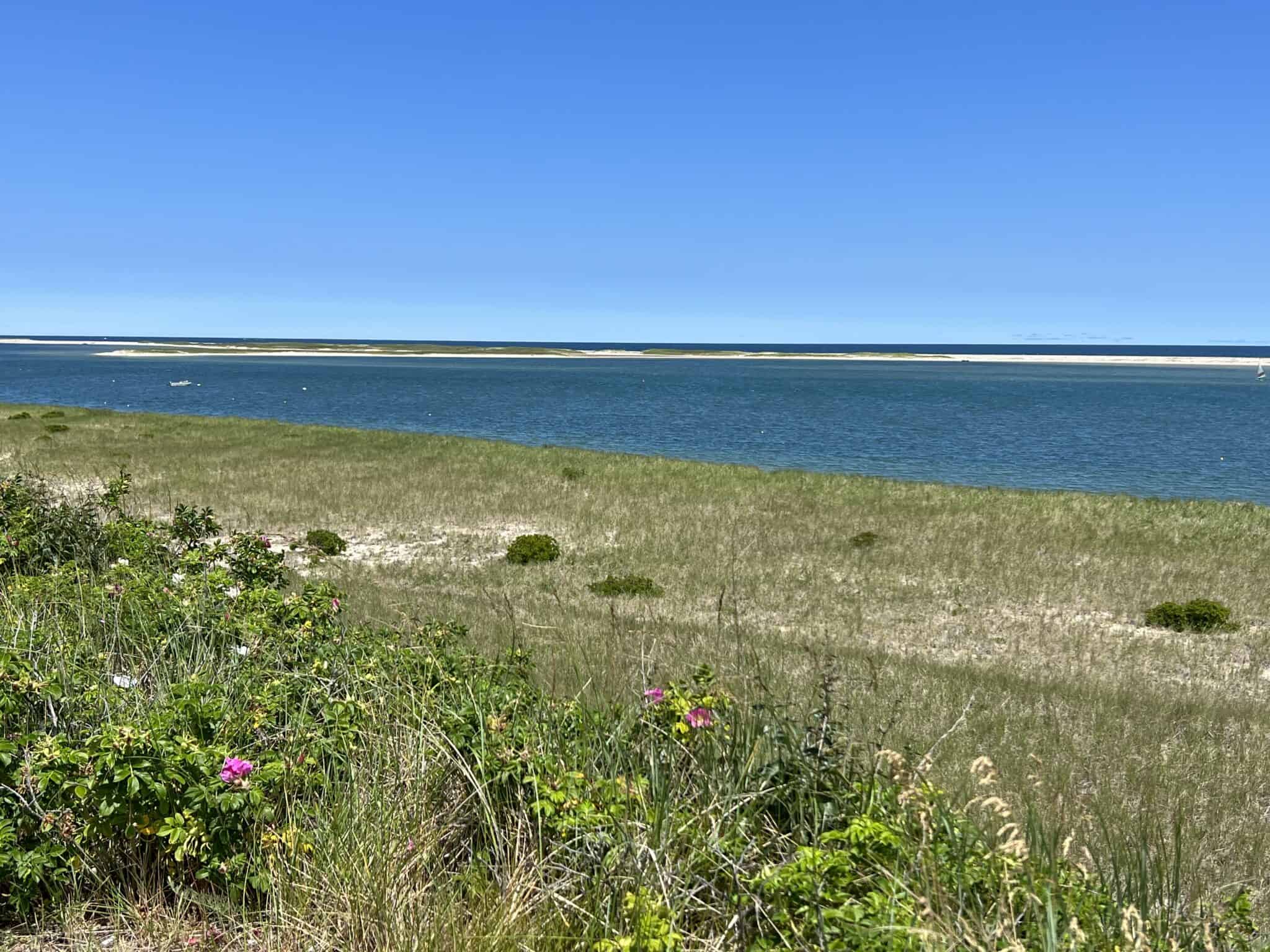 The Ultimate Guide on Where to stay in Chatham, MA - Family Travel