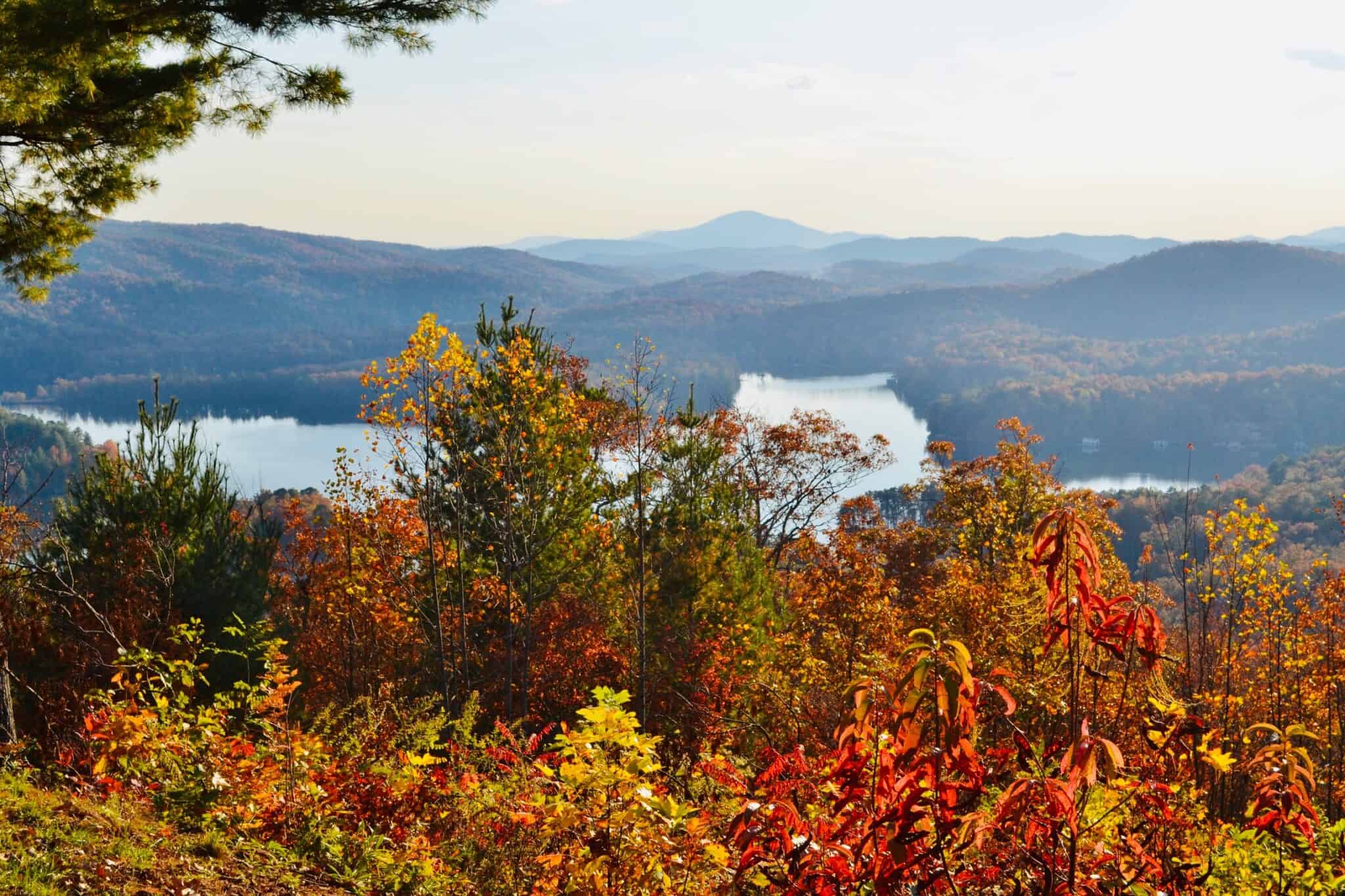 The Ultimate Guide to the Best Things to Do in Atlanta in the Fall in ...